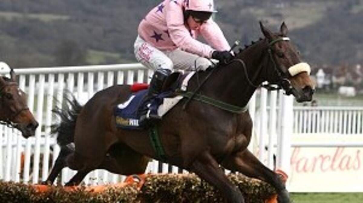 Meade hoping it's all go for Native | Irish Independent