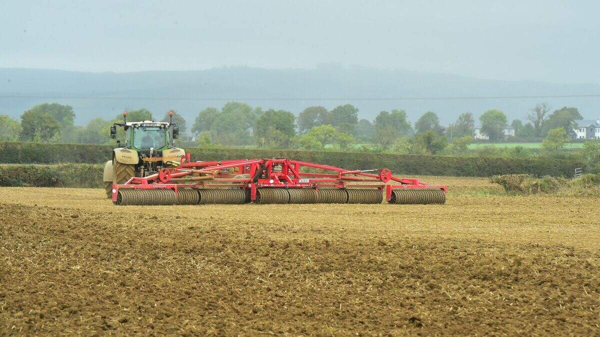 Farmers asked to report bogus seed offers | Irish Independent