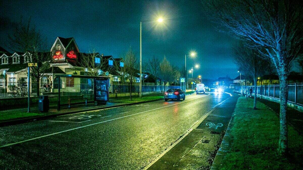 Man (20s) arrested over alleged sexual assault of woman (18) who had ...