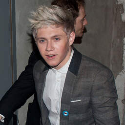 Demi Lovato admits a crush on One Direction’s Niall Horan | Irish ...