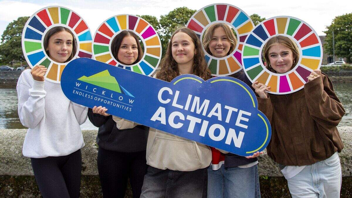 Wicklow students drive change with third youth-led sustainability ...