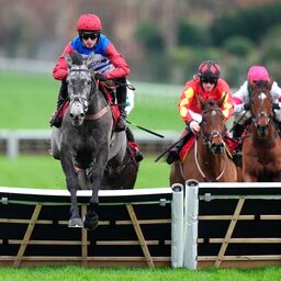 The Lion In Winter to spearhead Aidan O’Brien’s three-pronged attack on ...