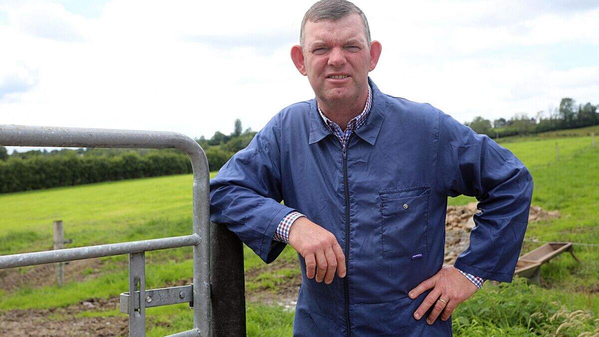 Gerard Sherlock: Why it’s worth reviewing your calving season | Irish ...