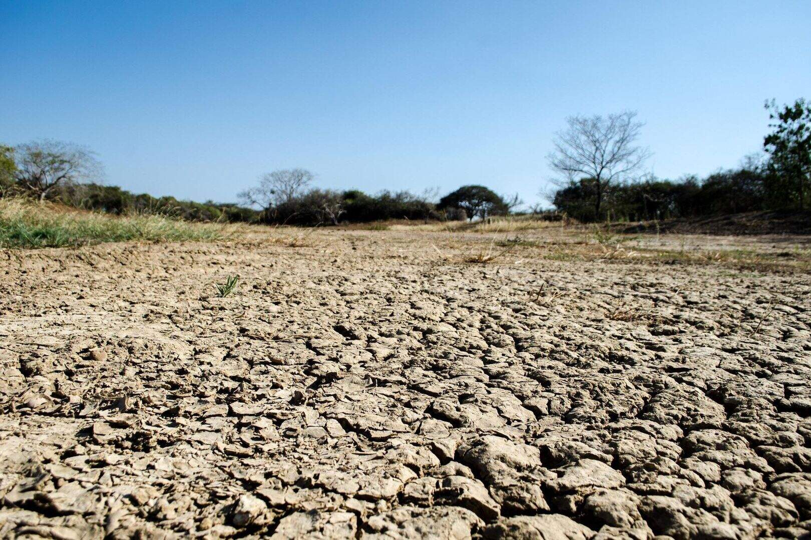 Surge in global temperature and disruptive weather forecast as experts ...