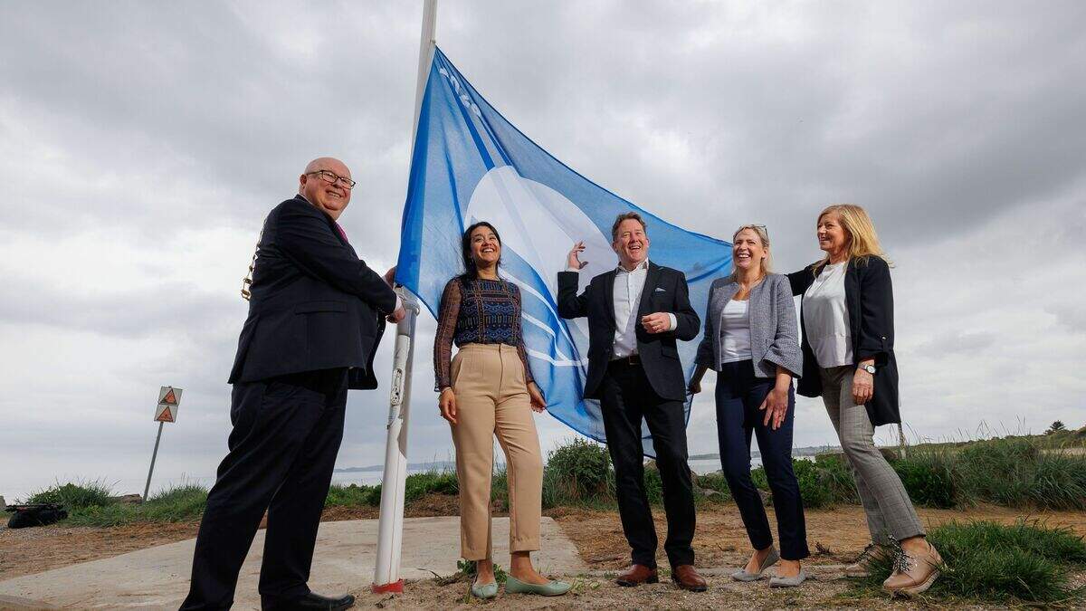 Blue, green and gold: 159 beaches receive awards for top quality waters ...