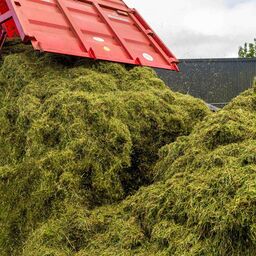 Key steps for better silage – how to maximise quality and minimise ...