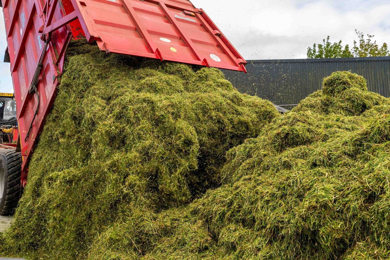 Key steps for better silage – how to maximise quality and minimise ...
