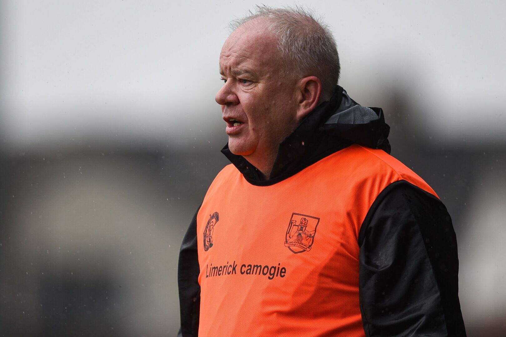 Joe Quaid expects Limerick to roar back next season | Irish Independent