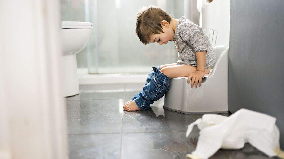 Going potty: How to help your child if they’re afraid to poo | Irish ...