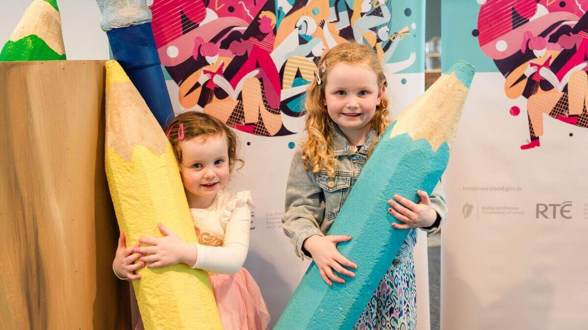 Applications now open for Cork County Council’s My Creative Wish ...