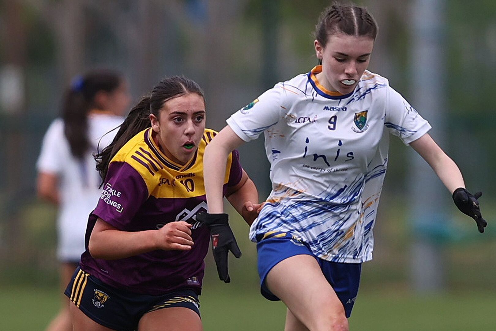 Impressive Wicklow fulfil promise as they blitz Wexford in Leinster ...