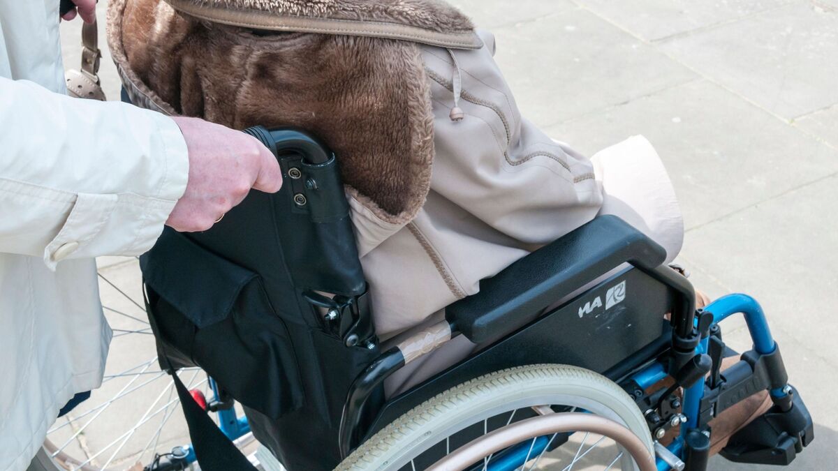Calls for a full-time inclusion officer in Laois to improve disability ...