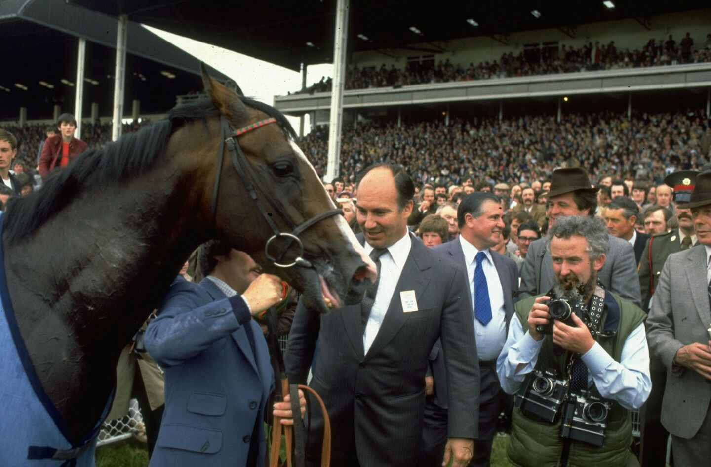 ‘Shergar: The Racehorse and the IRA’ review: Documentary on kidnapping ...