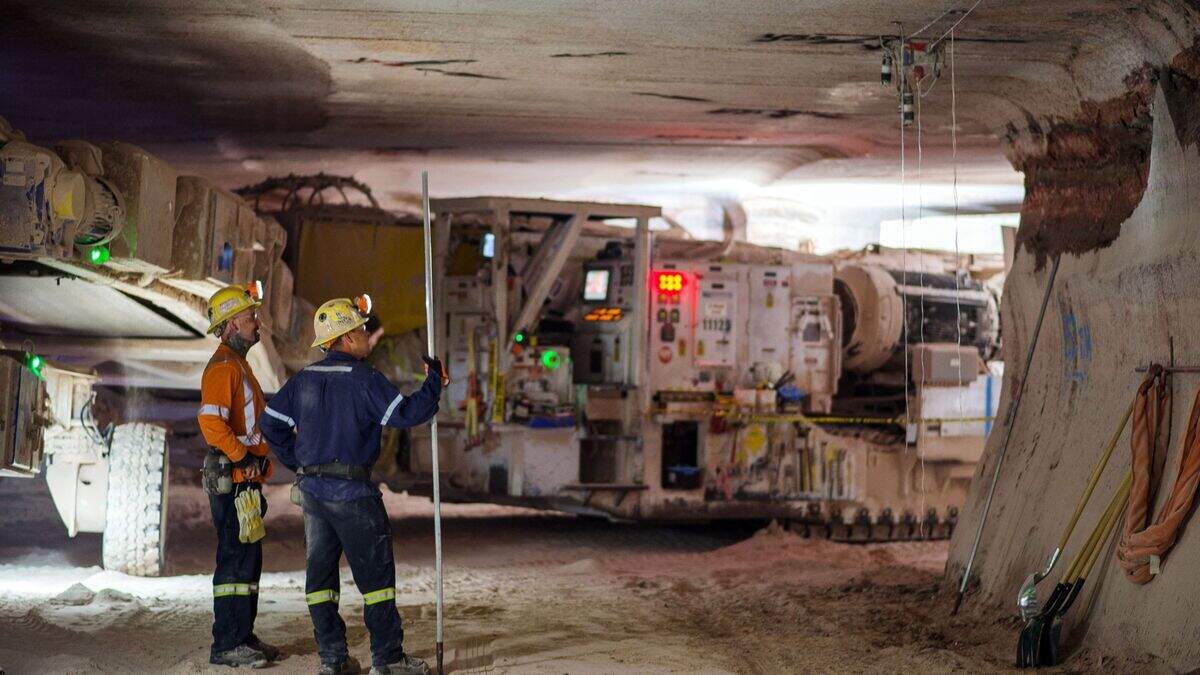 Top fertiliser maker says 'Black Swan' jolts are finally easing | Irish ...