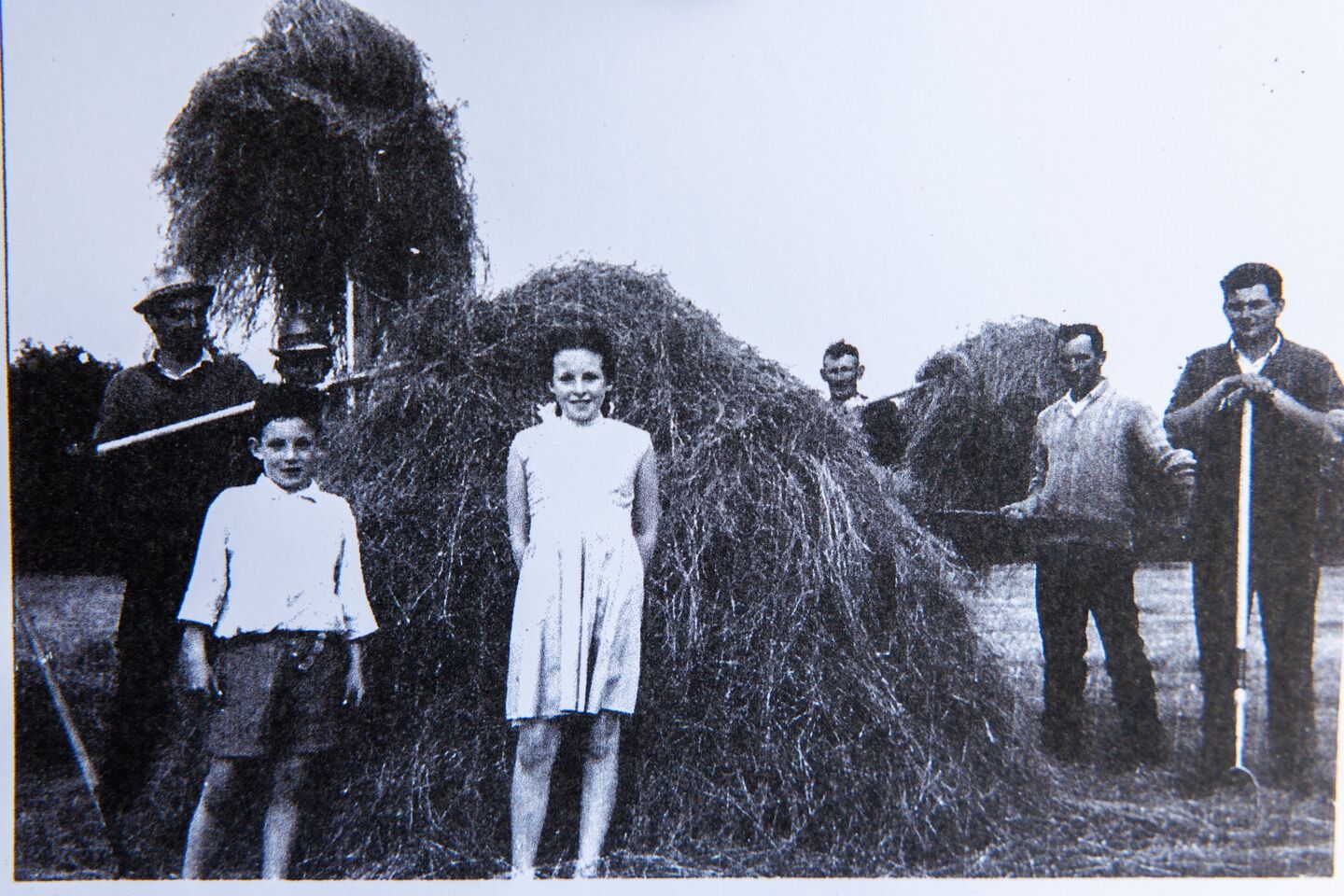 The ‘Ring of Kerry’ in Kildare: the small townland where the Kingdom’s ...