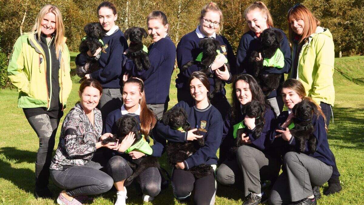 Puppy love is.... helping others | Irish Independent