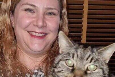 ‘Fergus’ the cat reunited with owner after 11 years away from home ...