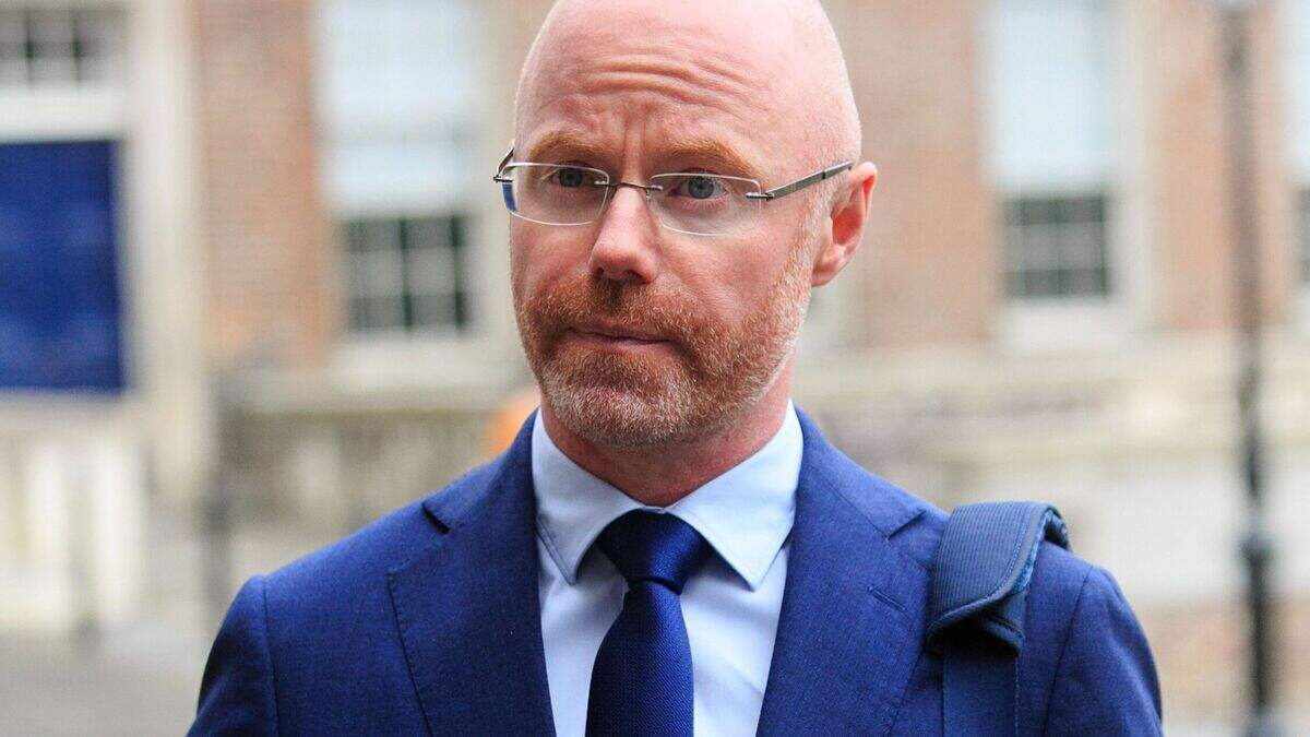 Sláintecare: Stephen Donnelly was not told by Secretary General that ...