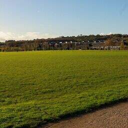 Gorey football club forced to ‘turn away members’ following decision ...