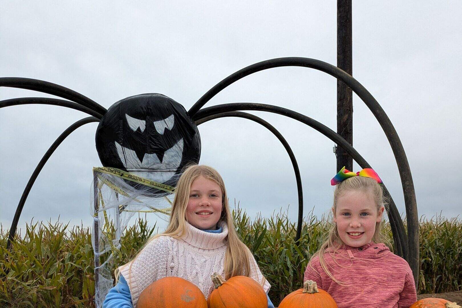 Darragh McCullough: Halloween getting a little less scary as my pumpkin ...