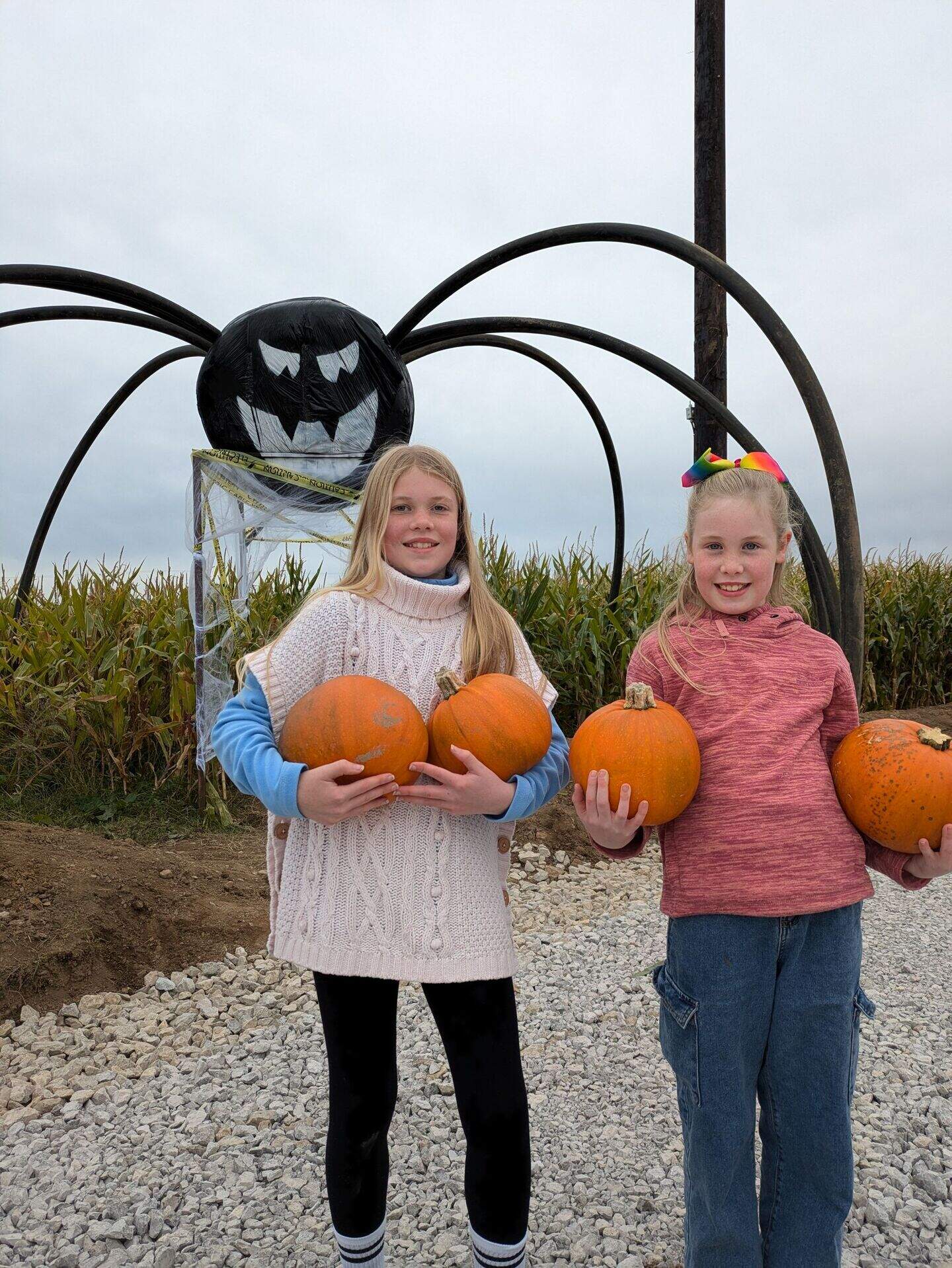 Darragh McCullough: Halloween getting a little less scary as my pumpkin ...
