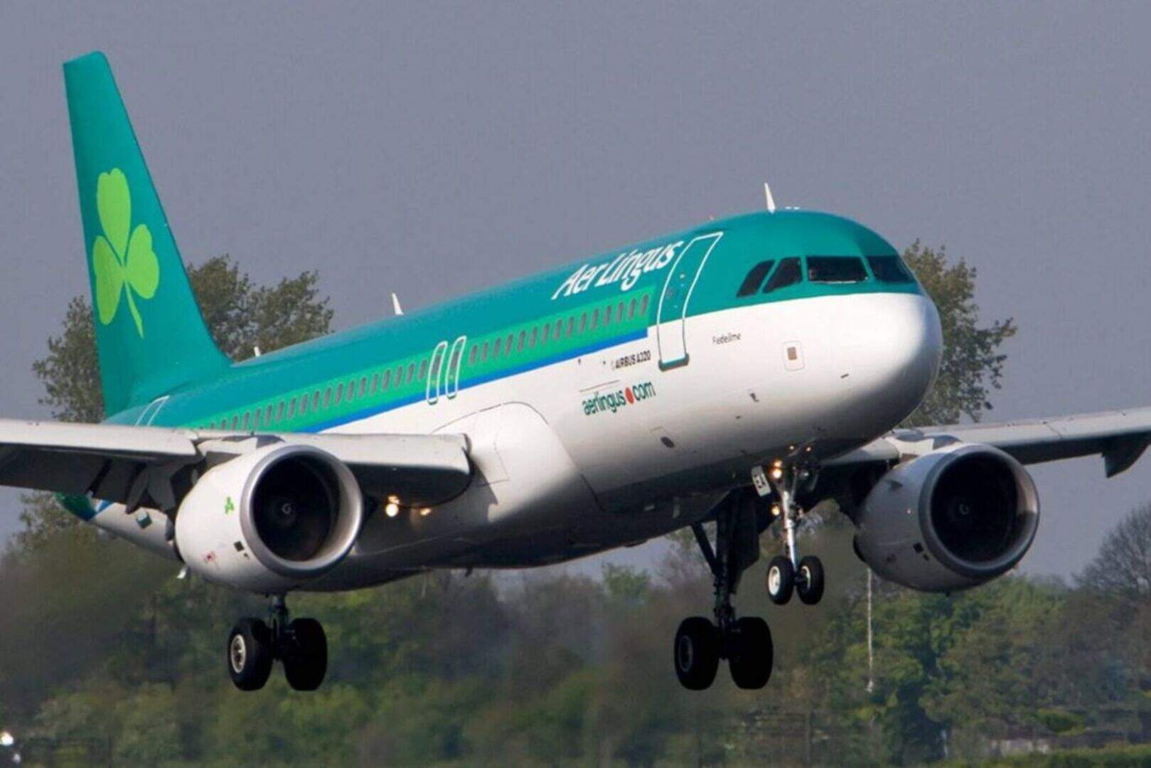 Aer Lingus takeover offer closes as airline joins IAG | Irish Independent