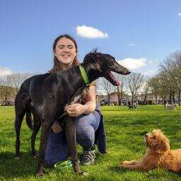 Pandemic pooches: Will our new obsession with dogs come back to bite us ...