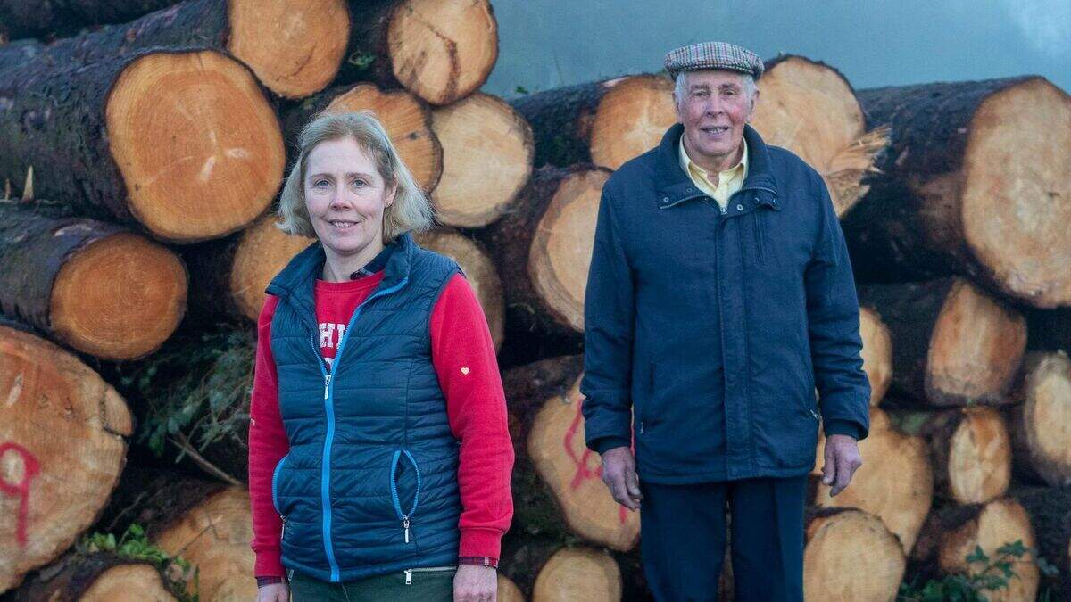 ‘Dad planted two plantations — he wanted to add security for future ...
