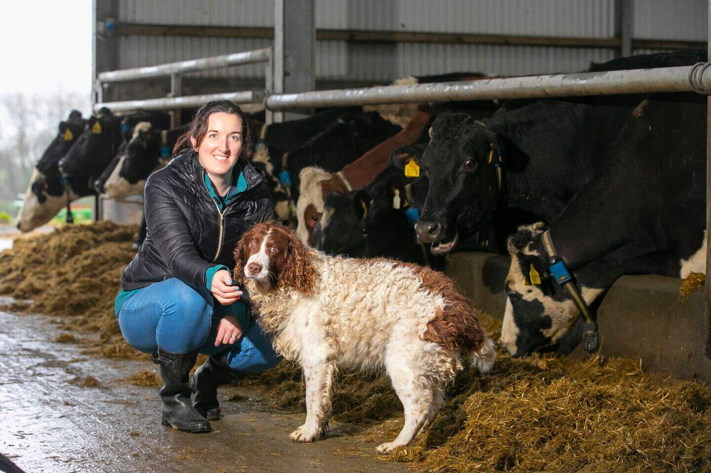 Women’s Discussion Groups: ‘I do think that the female role in a farm ...