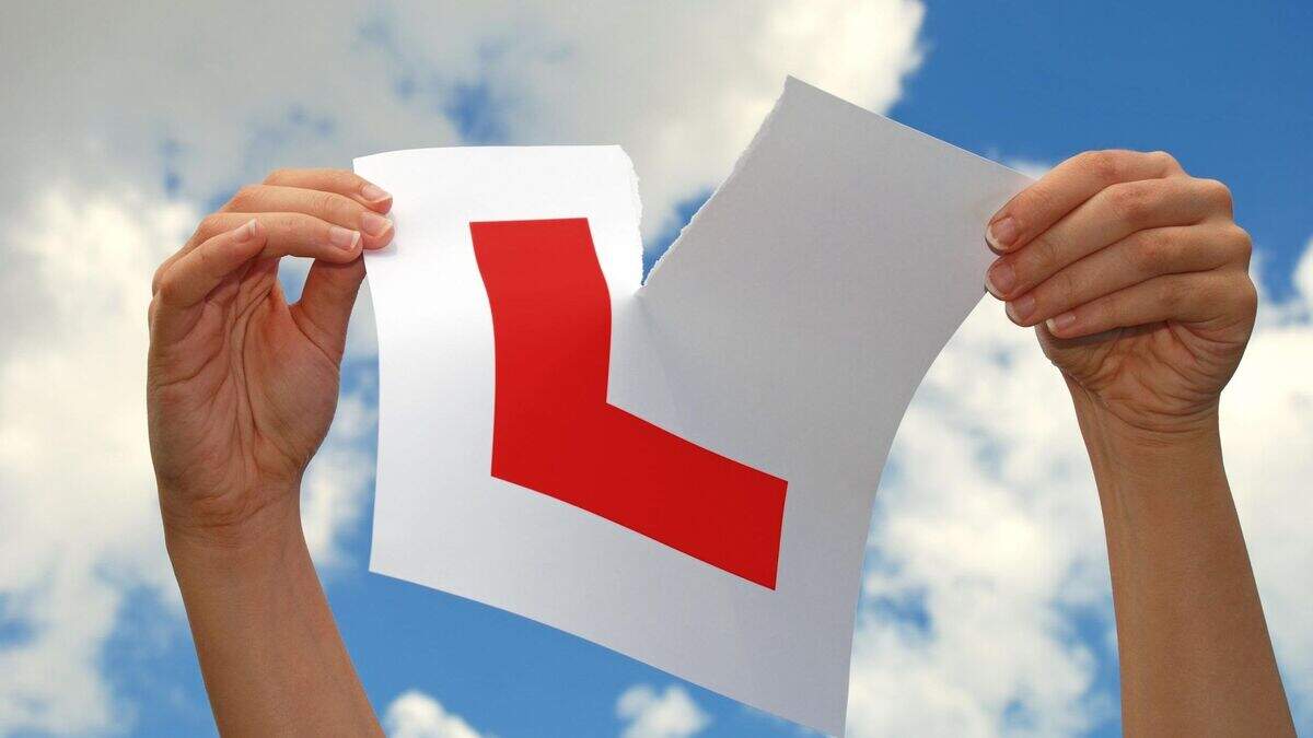 I love that the driving test is hard to pass. It makes the victory seem ...