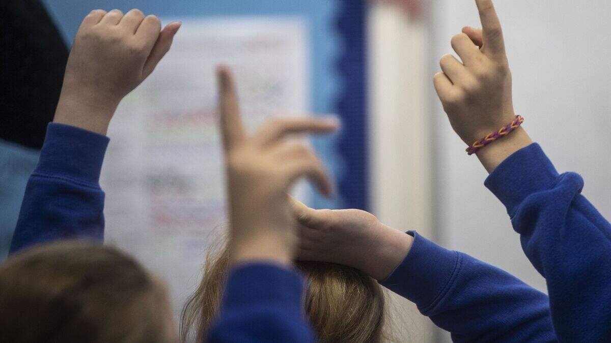 South Kildare to get a new special school | Irish Independent