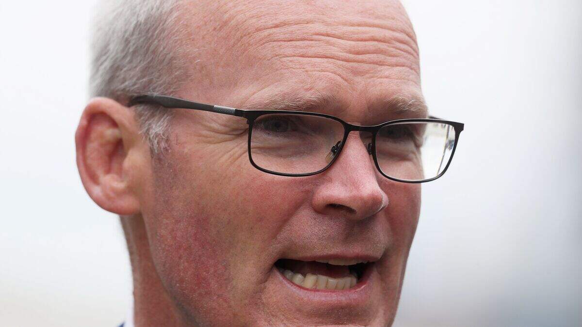 Evening headlines: ‘Far too early' to discuss neutrality referendum ...