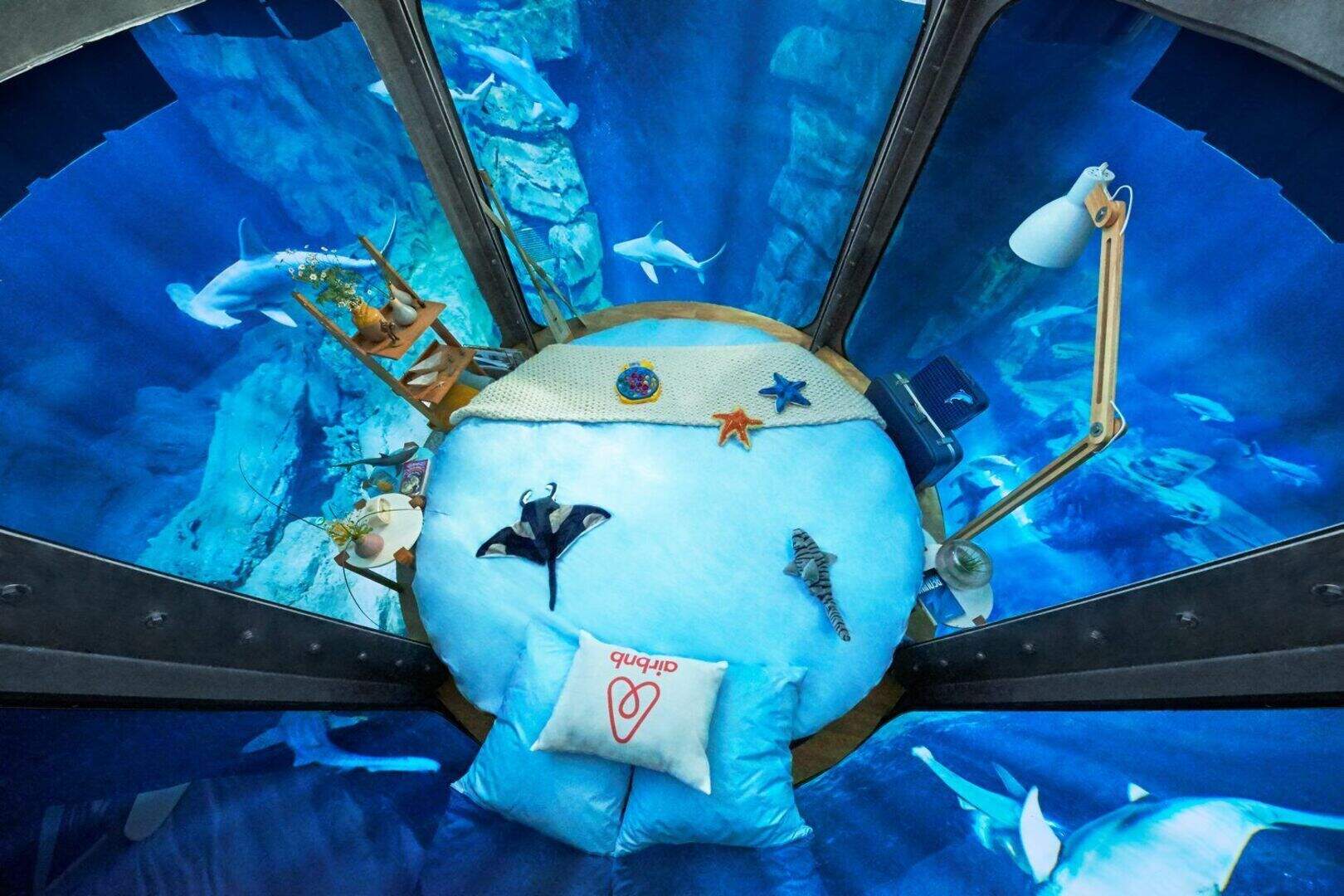 Sleep with sharks: Airbnb unveils its first underwater bedroom | Irish ...