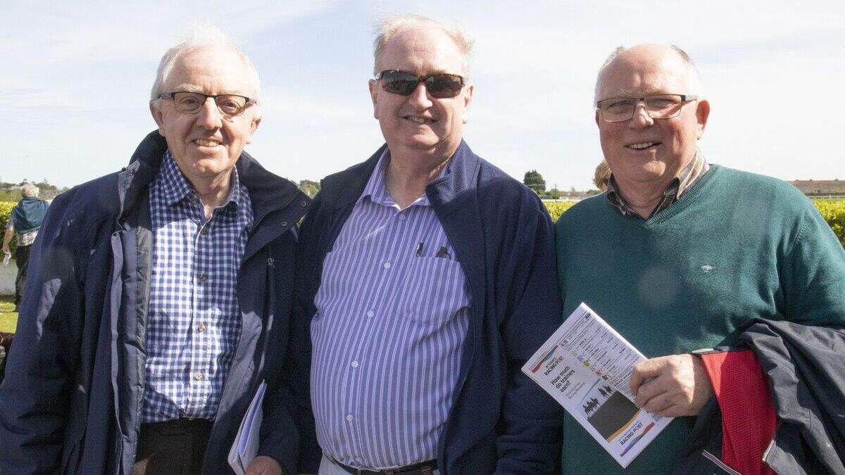 Around the Districts: Blackwater, Bree-Galbally, Oulart & The Ballagh ...