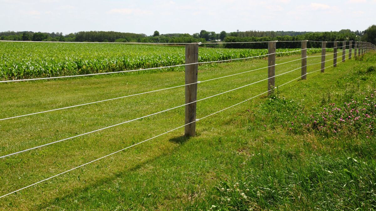 Farmers in Limerick to ‘remain alert’ after daylight thefts on county ...