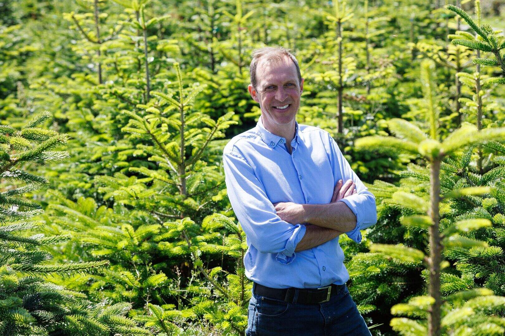 Darragh McCullough: Christmas trees can earn €5,000/ac/year and ...