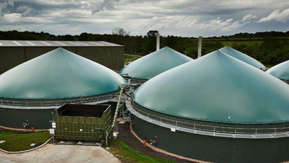 Cork TD proposes national strategy on anaerobic digestion | Irish ...