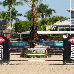 Sligo showjumpers Kevin Gallagher and Daniel Kerins victorious in ...