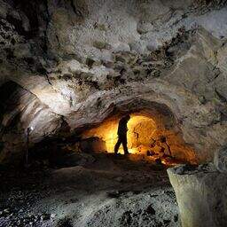 Discovery of 5,500-year-old wildcat in Clare sheds new light on ...