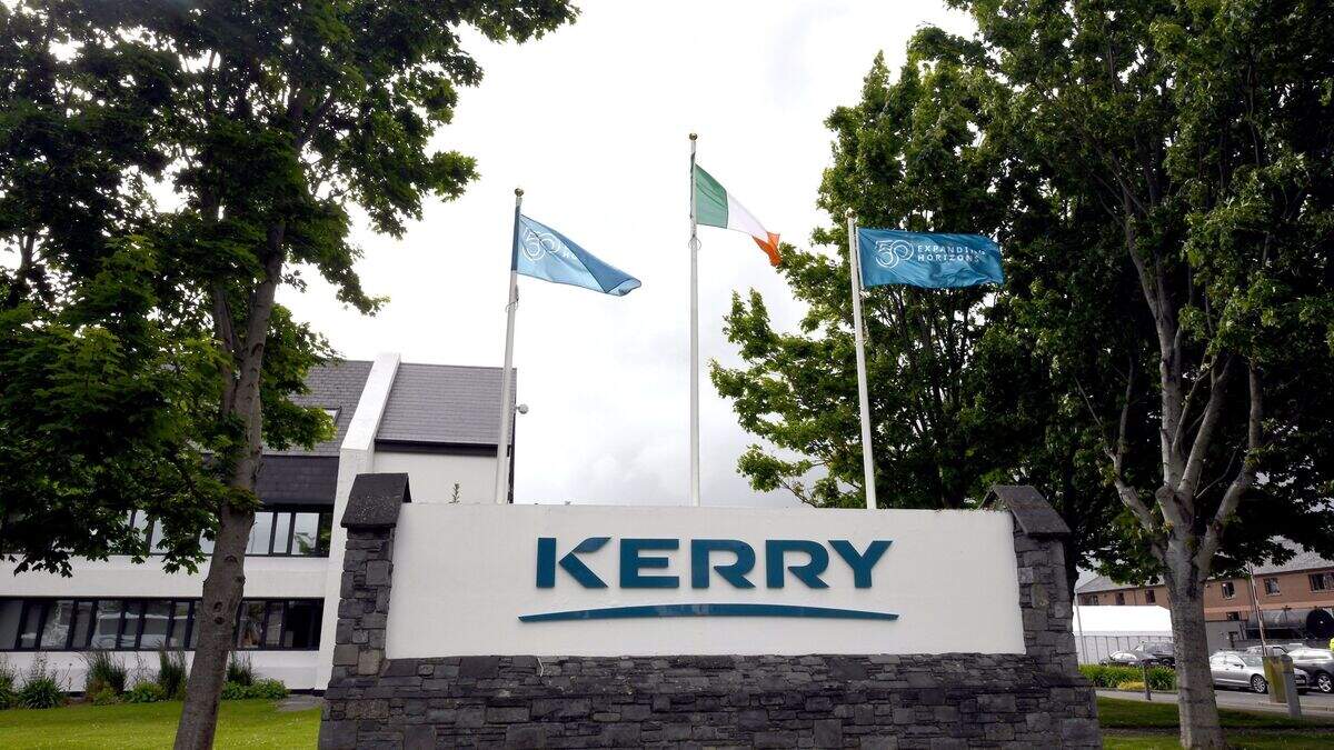 Analysts see value in Kerry despite its ‘mixed’ update | Irish Independent