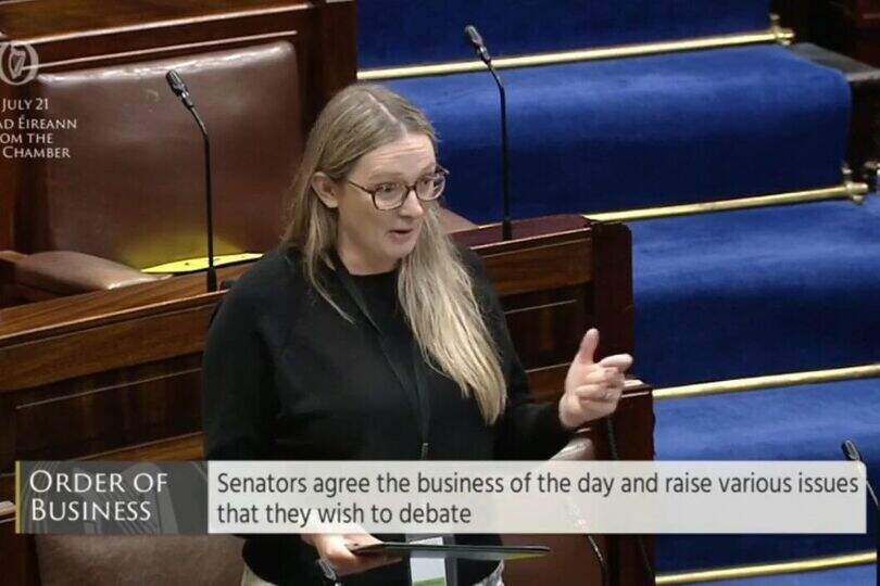 Burning Irish flags 'is not a celebration of culture' - Senator Emer ...
