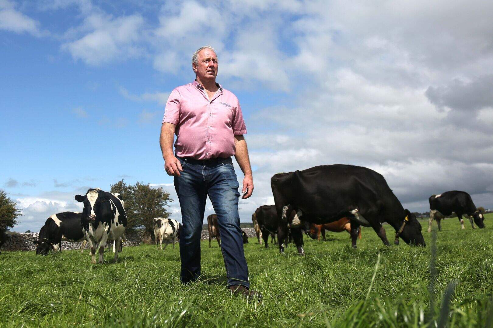 Henry Walsh: How to stay profitable in the new reality of lower milk ...