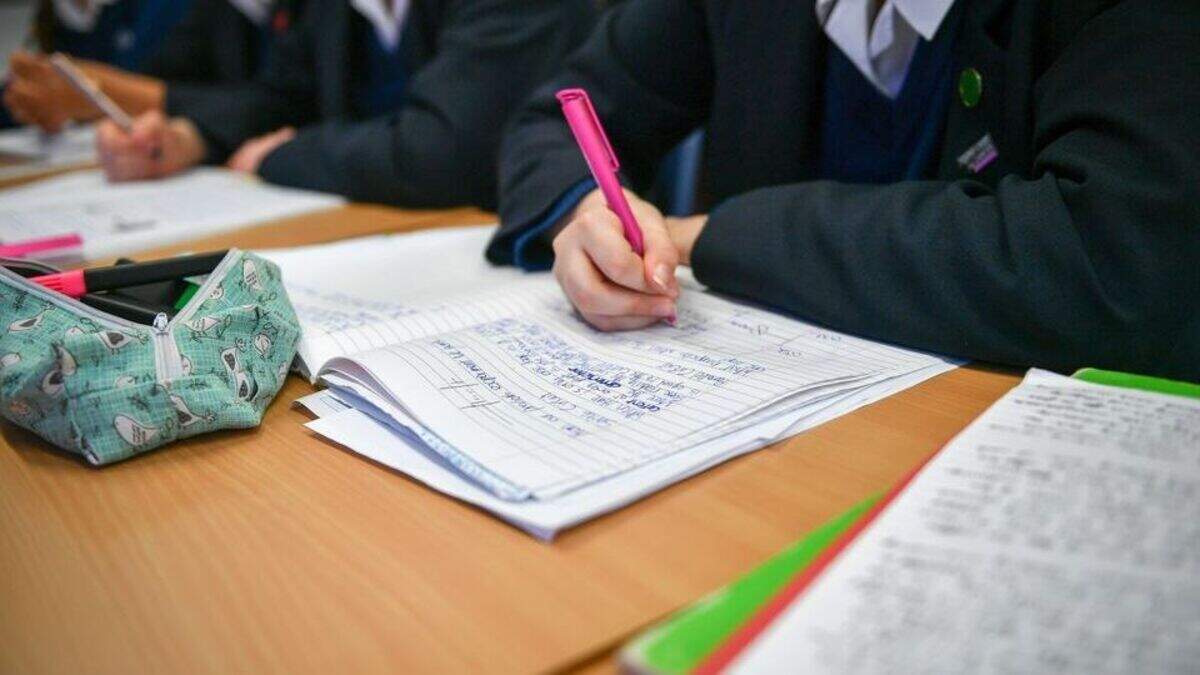 Dublin principals ‘delighted’ with added supports from Deis-plus scheme ...