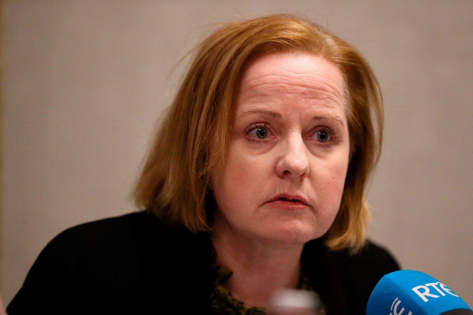 Why Dublin TDs are speaking up on farming—and defending their right to ...
