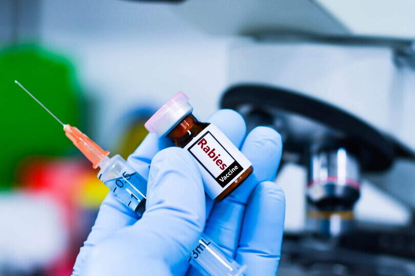 Rabies vaccine use in Ireland jumps 249pc as doctors and public become ...