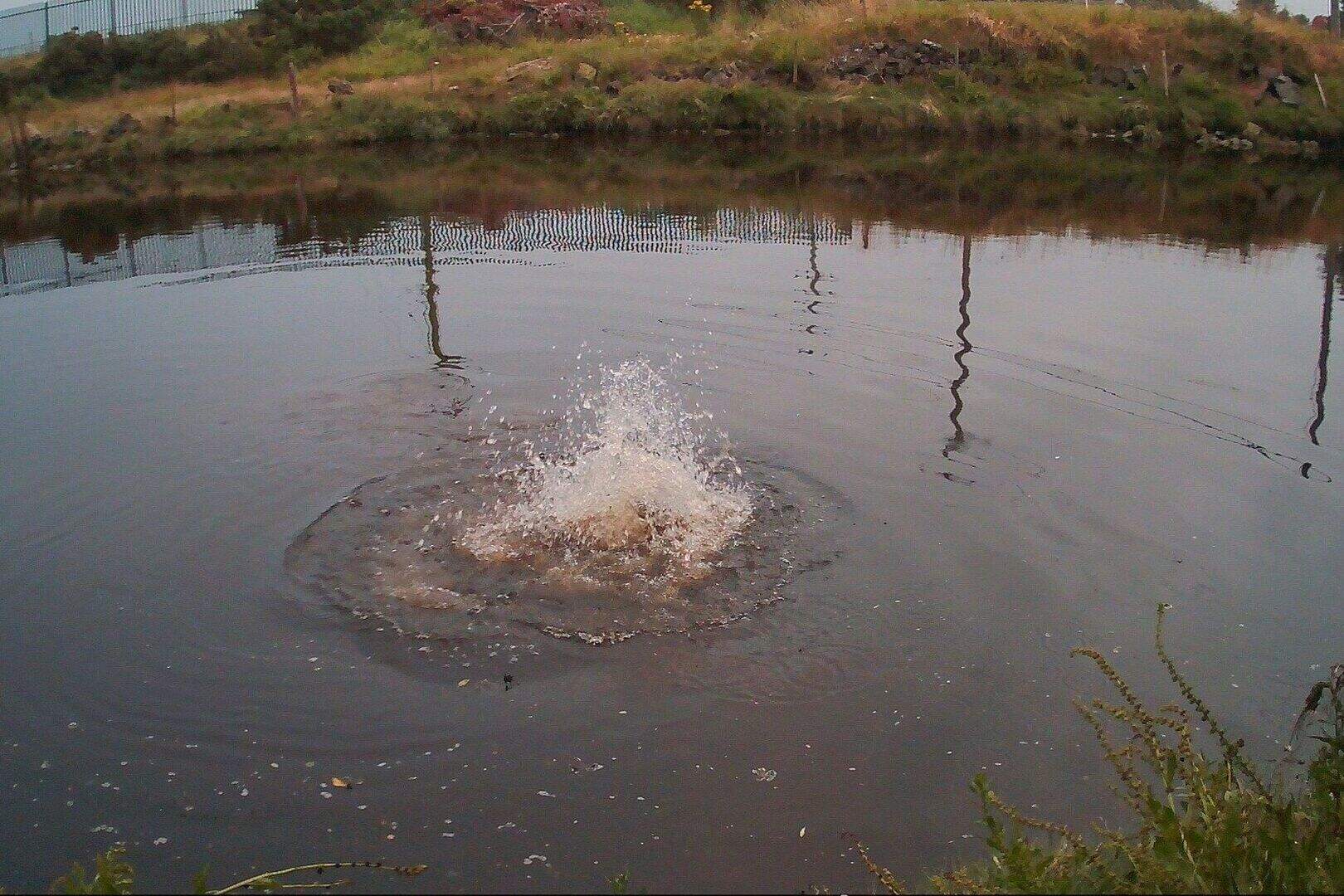EPA finds pumping station near Blackrock village is “non-compliant” and ...