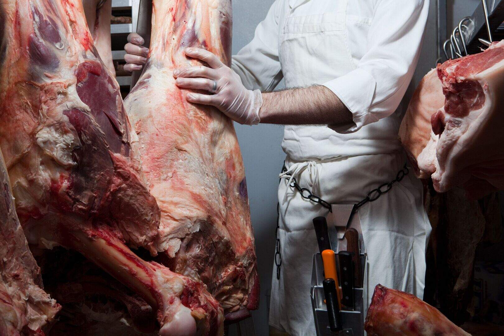 Tight cattle supplies to boost 2024 beef prices | Irish Independent