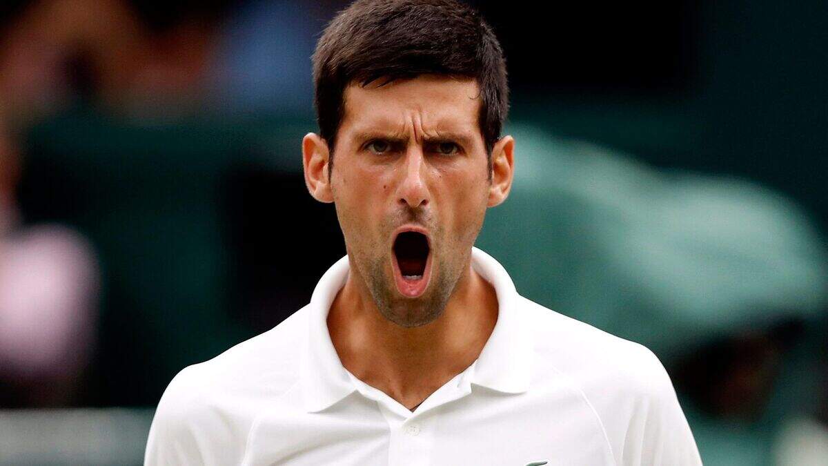 'Error in judgement' - Novak Djokovic admits meeting journalist after ...
