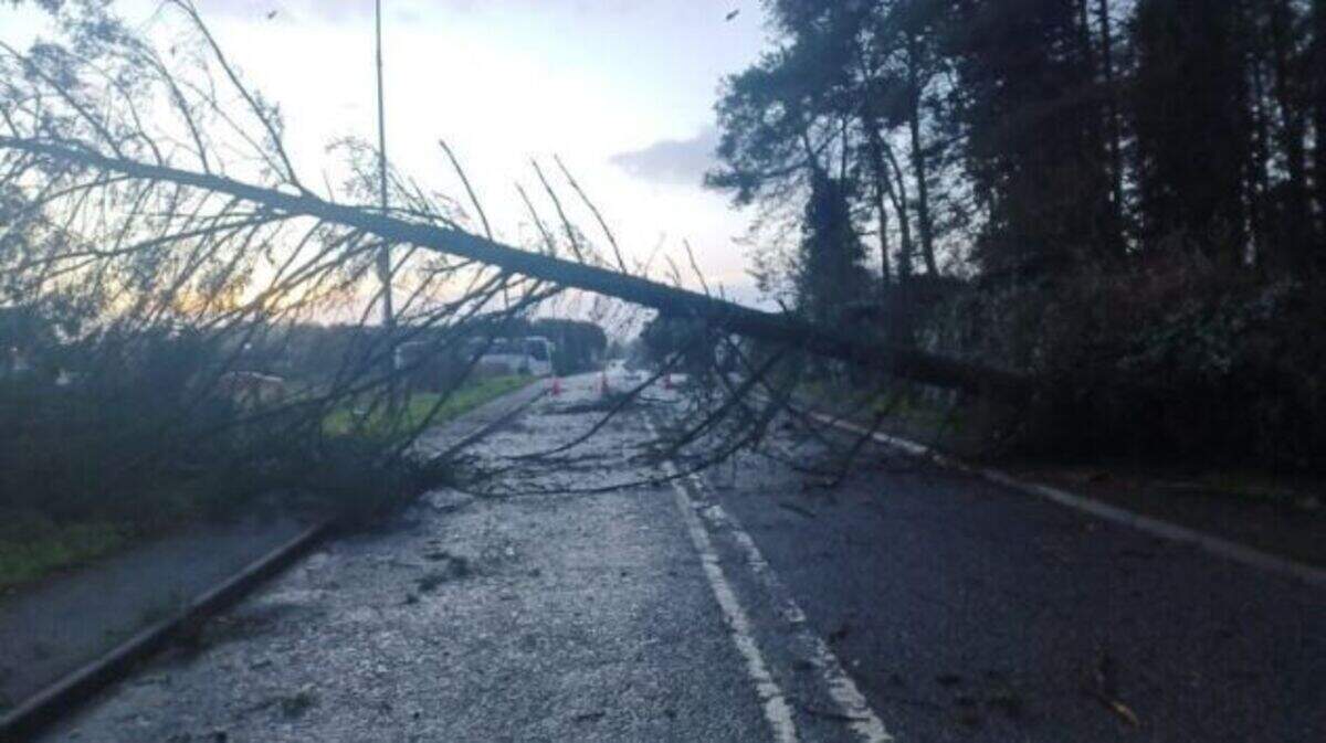 Lengthy power cuts in Monaghan after Storm Isha prompts questions over ...