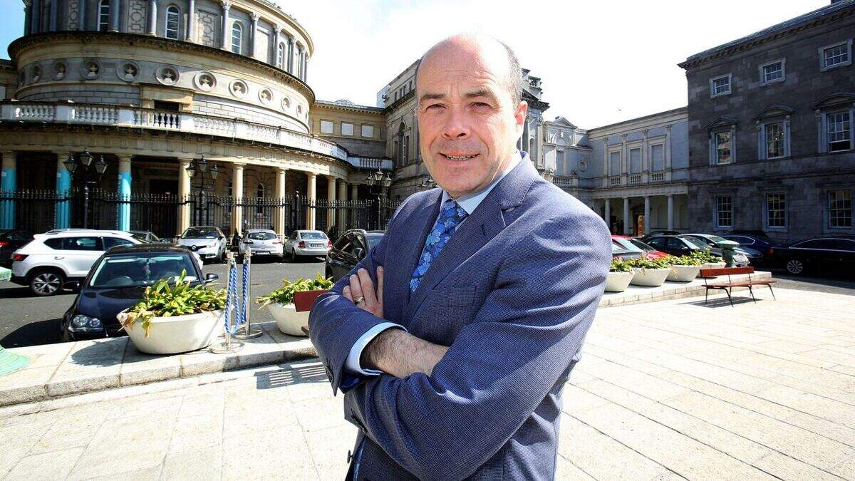 Denis Naughten will support Government on 'case by case basis' after ...